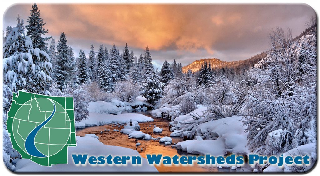 There's Still Time to Support WWP in 2019! - Western Watersheds Project