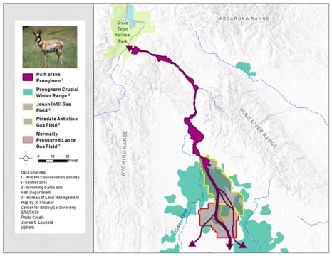 NPL and Path of Pronghorn - Western Watersheds Project