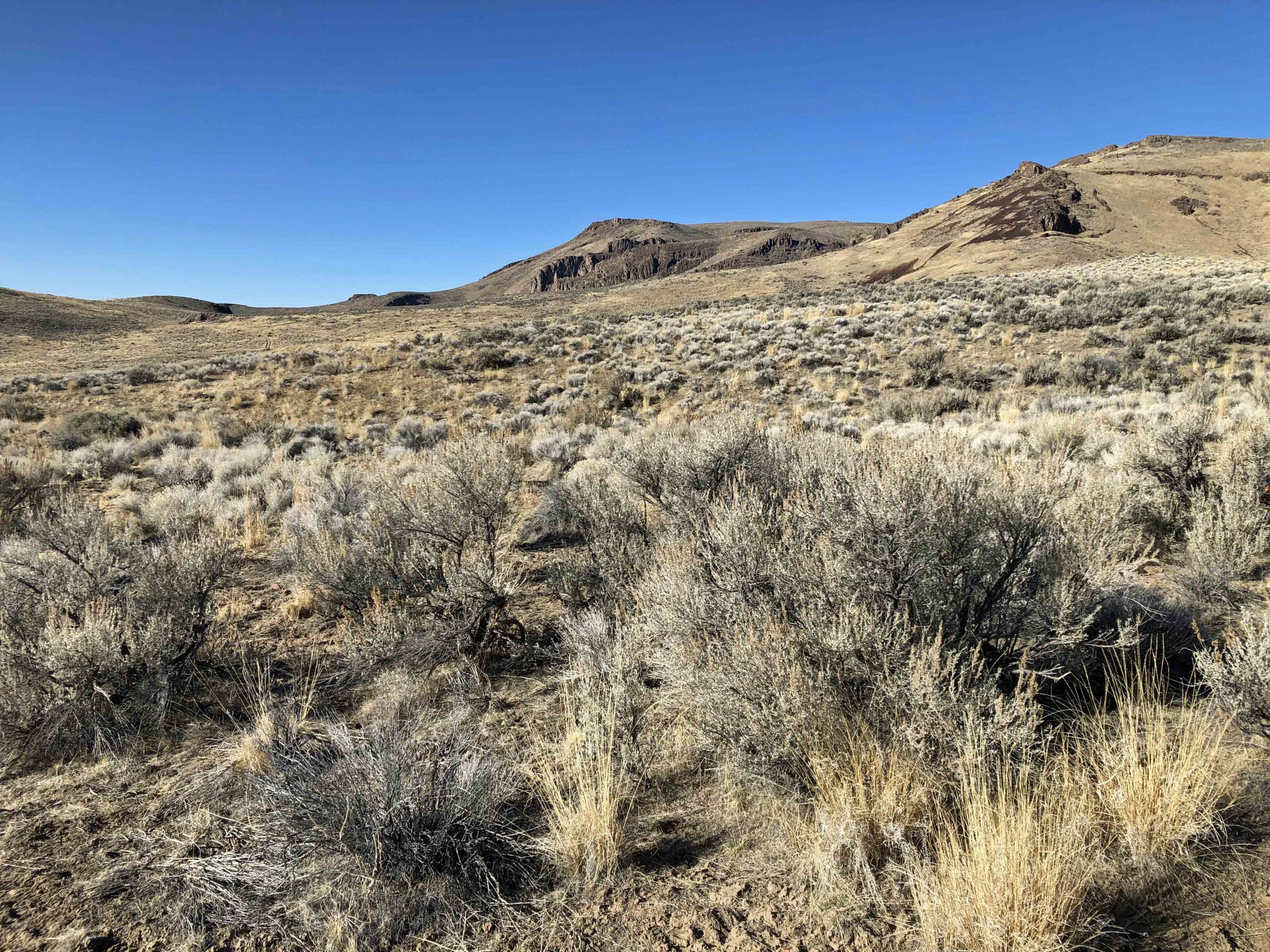 Conservation and Public Accountability Groups File Legal Challenge to ...