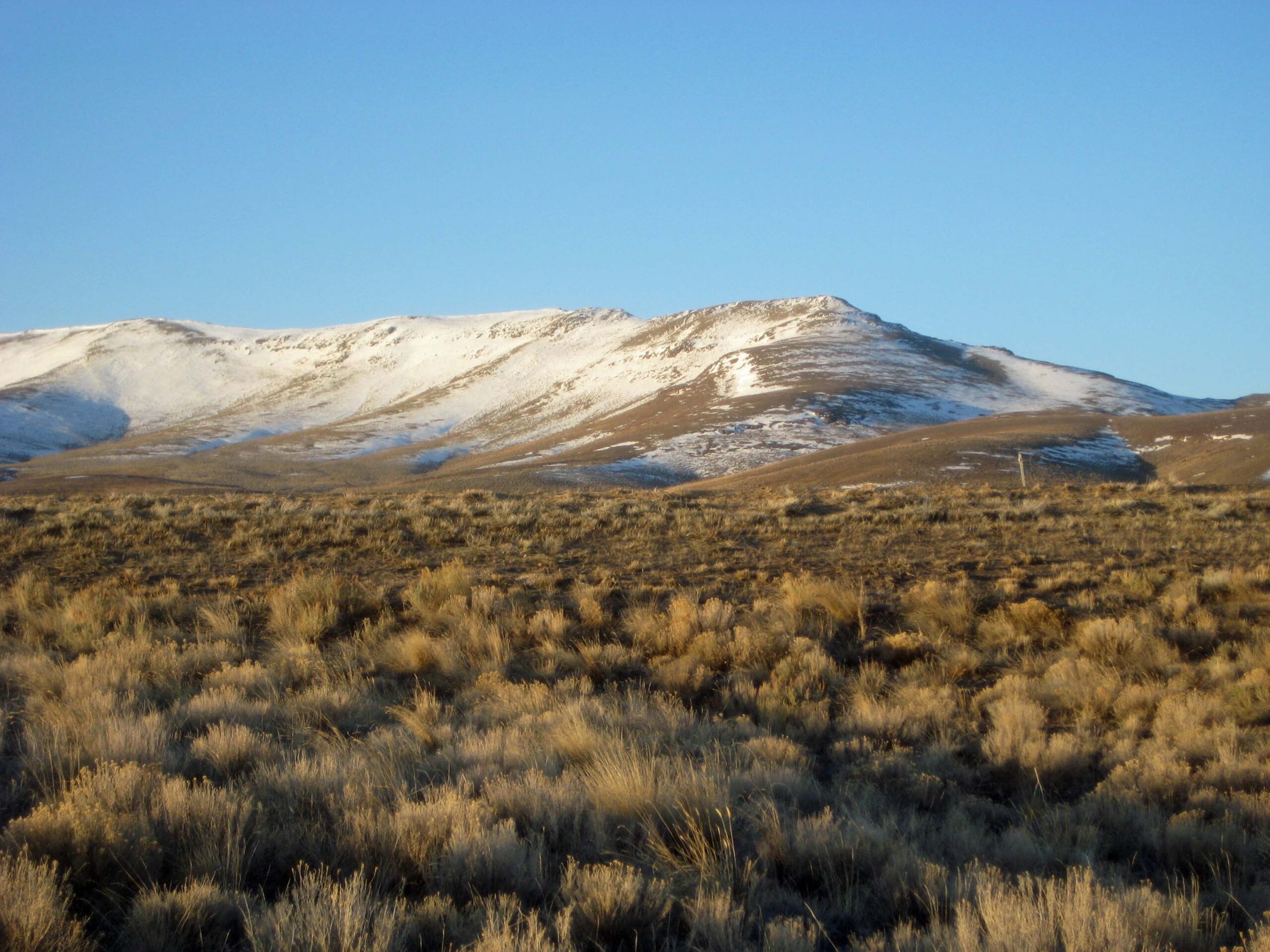 Conservation Groups Ask Ninth Circuit to Block Destruction at Thacker ...