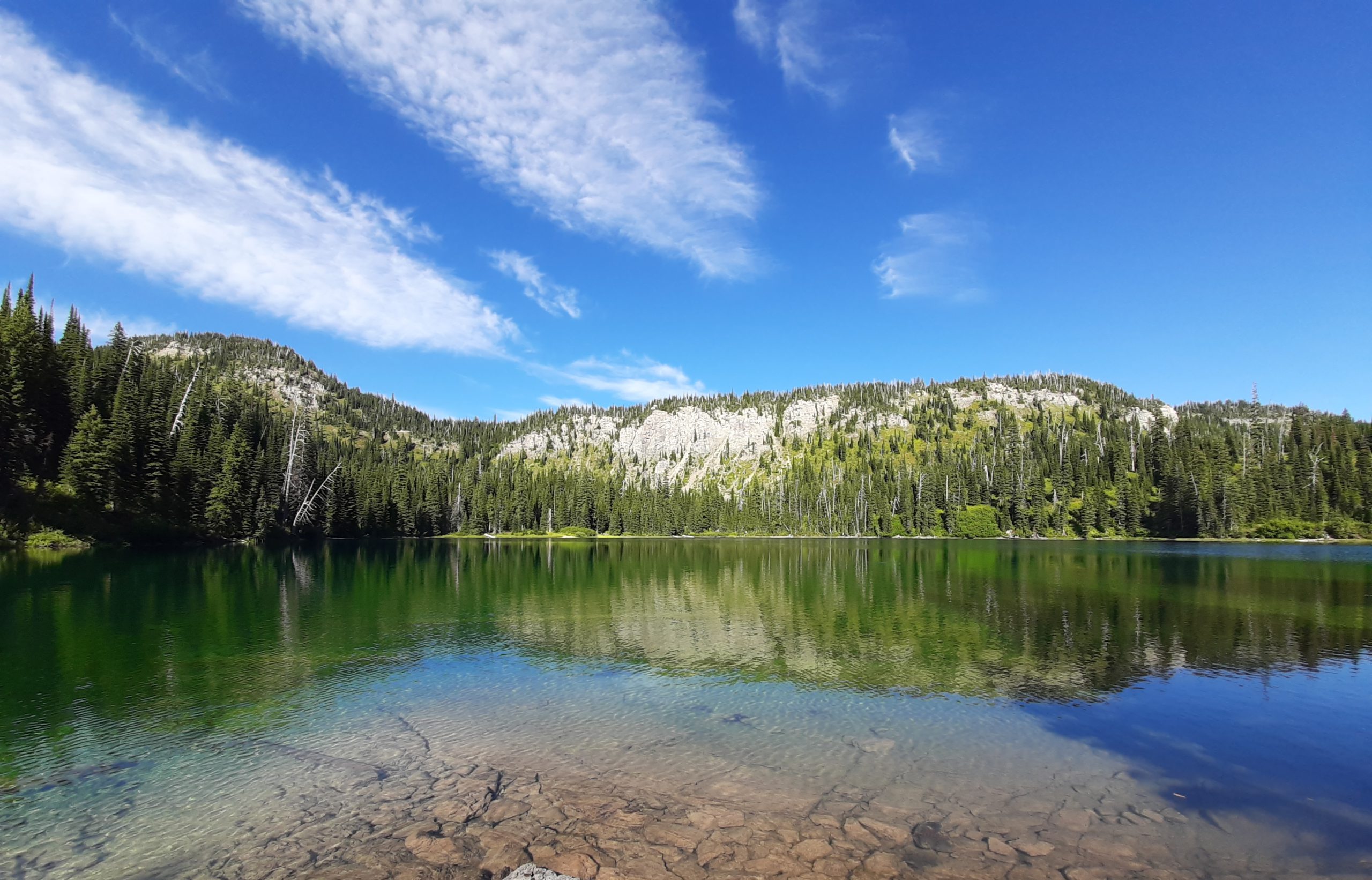 Montana - Western Watersheds Project