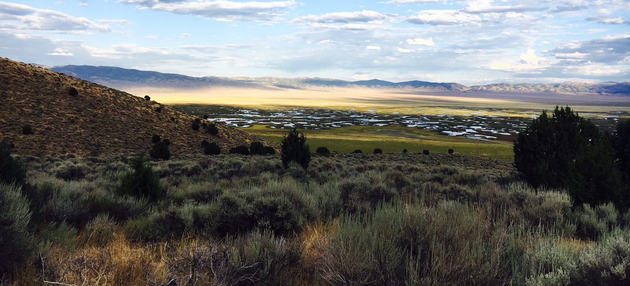 Nevada - Western Watersheds Project