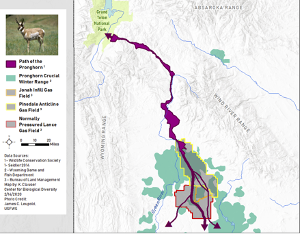 PastedGraphic-1 - Western Watersheds Project