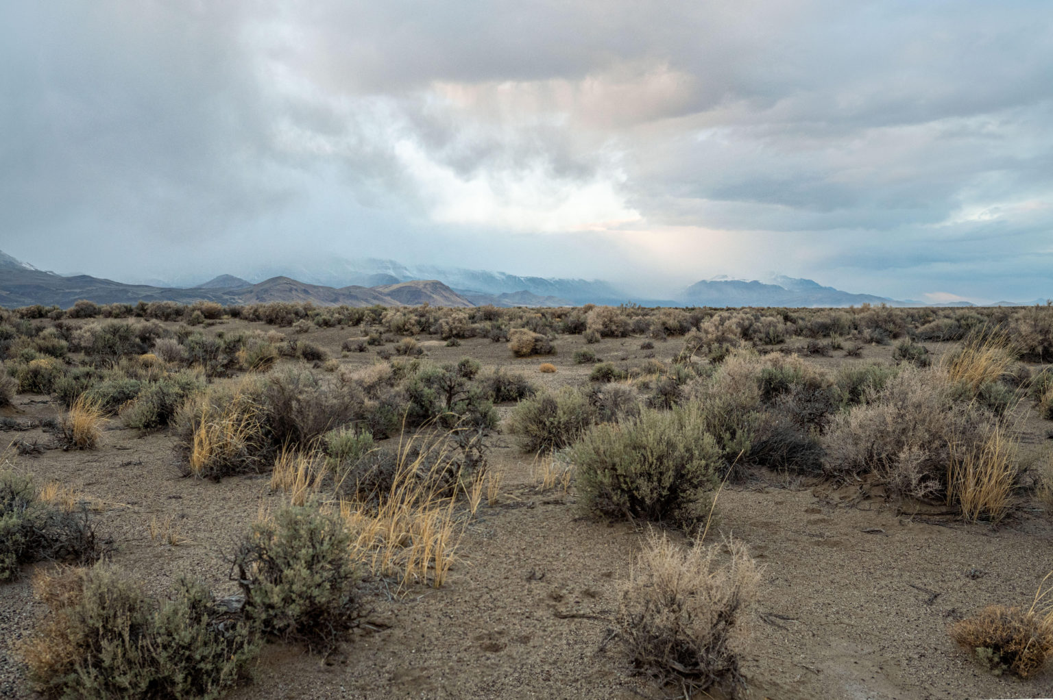 Home - Western Watersheds Project