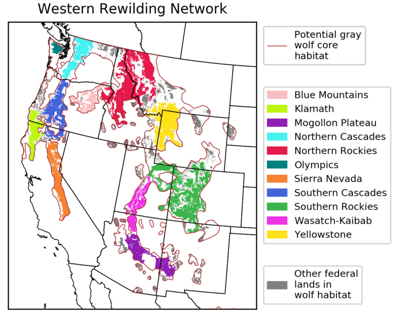 Pygmy Rabbits - Western Watersheds Project