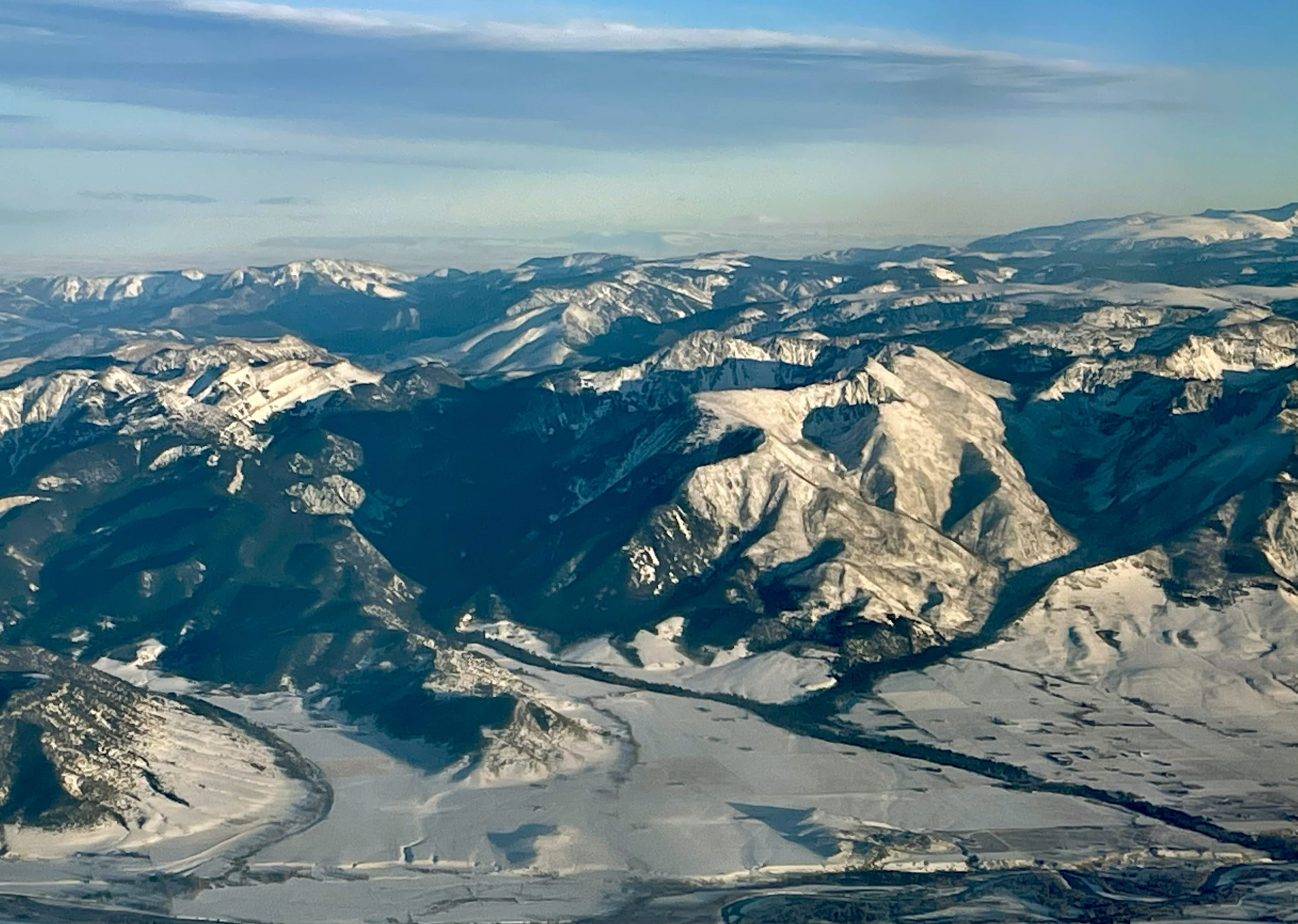 Protecting grizzlies from grazing in Paradise Valley, Montana - Western ...