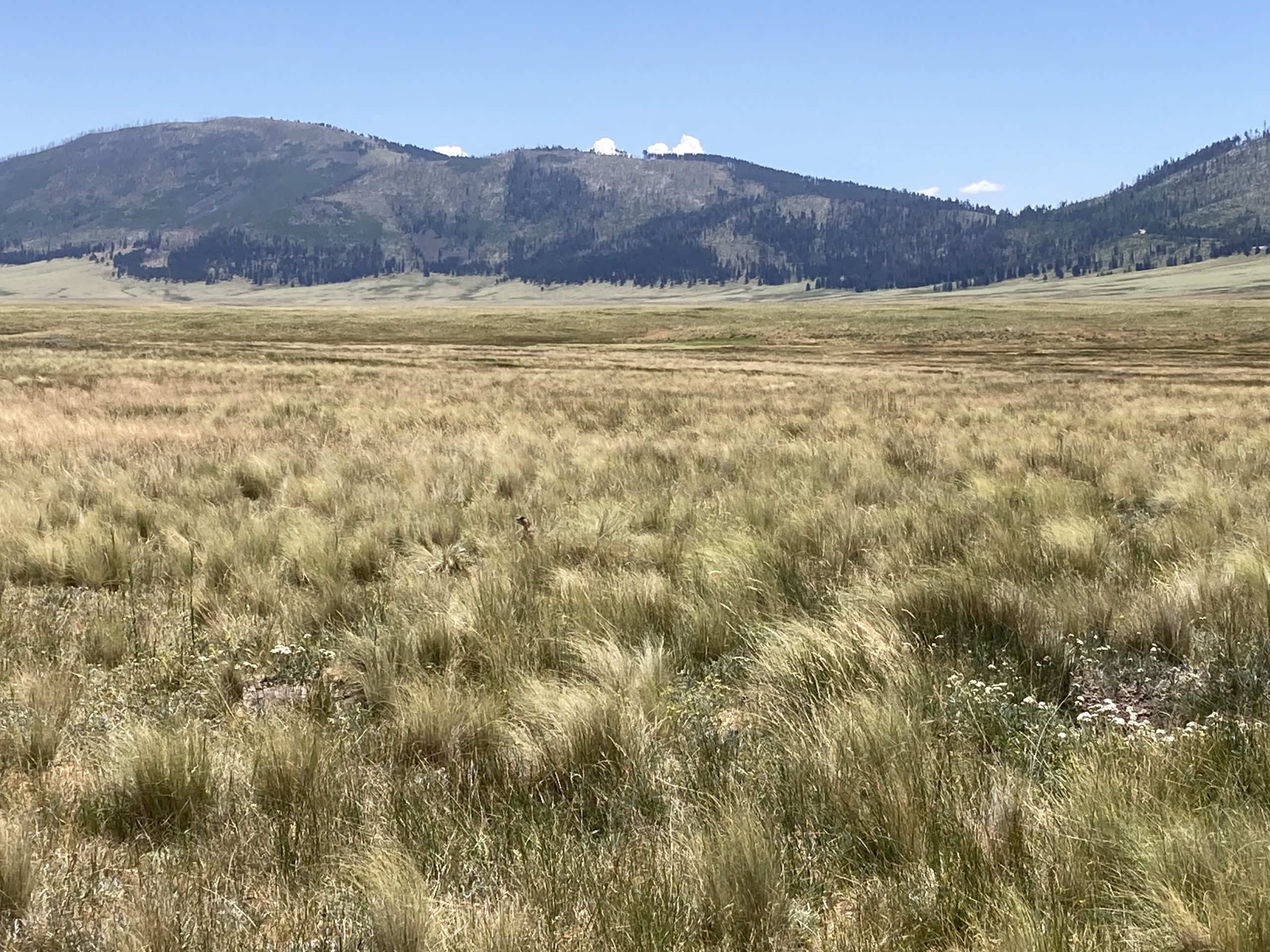 Our Take - Western Watersheds Project