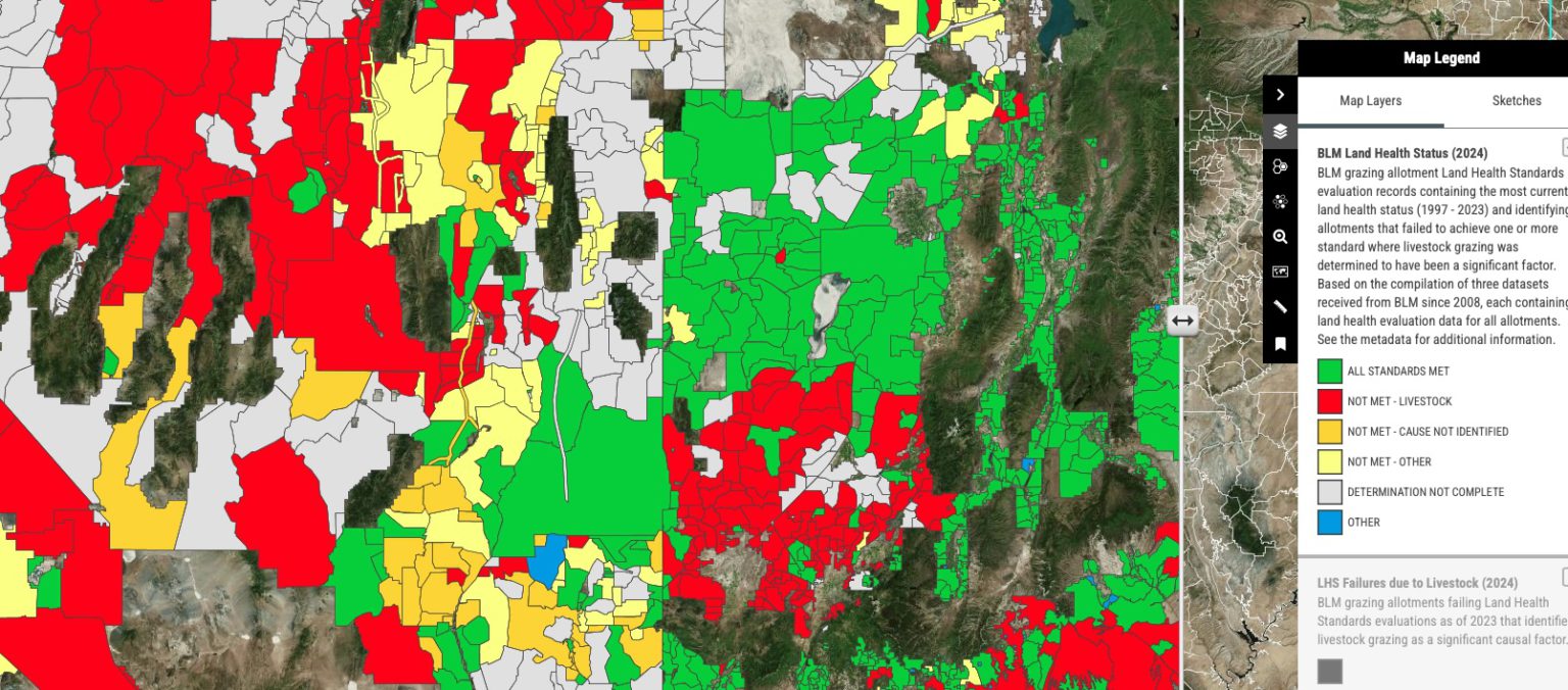 Public Lands Ranching - Western Watersheds Project