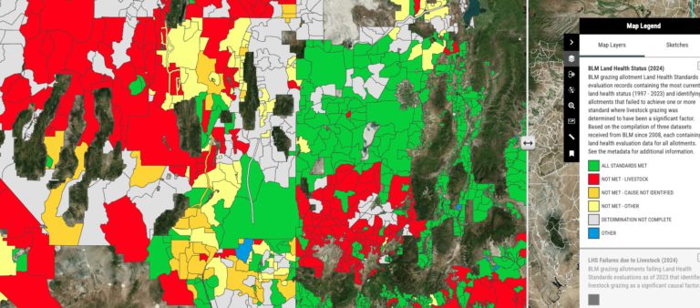 MAP: Cows Grazing in Federal Wild Horse HMA - Western Watersheds Project
