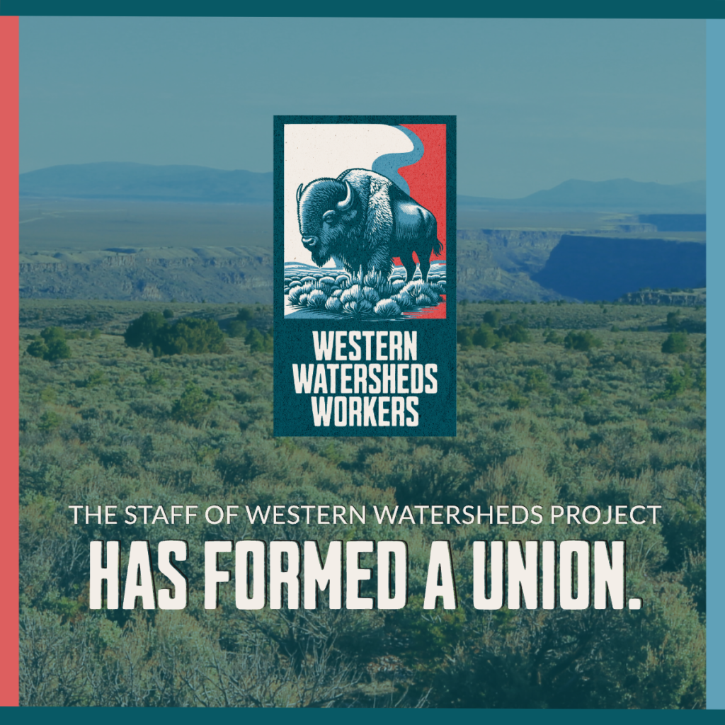 Western Watersheds Project Staff Announce Formation and Recognition of ...