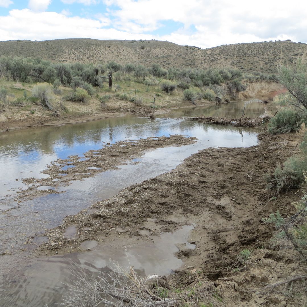 3 - Western Watersheds Project