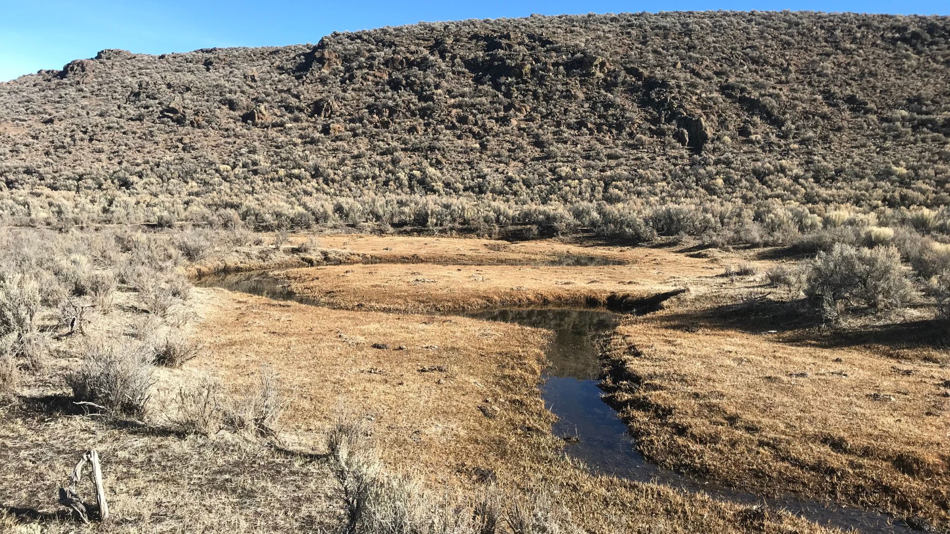 7 - Western Watersheds Project