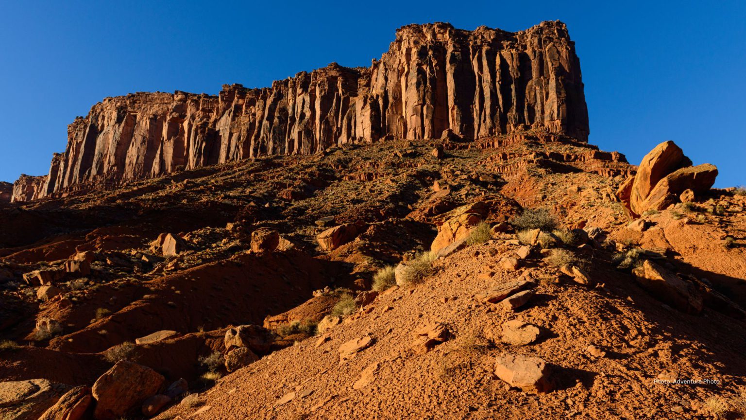 Home - Western Watersheds Project