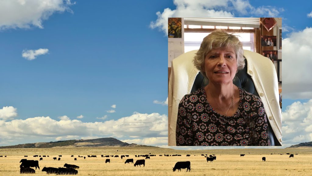 Public Lands Ranching - Western Watersheds Project